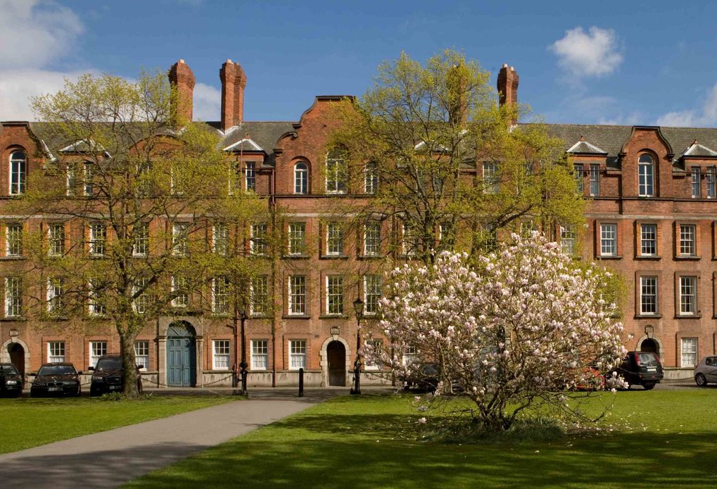 MSc in Financial Risk Management - Trinity Business School | Trinity ...