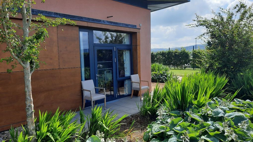 RLTC and COVID-19 - TrinityHaus | Trinity College Dublin