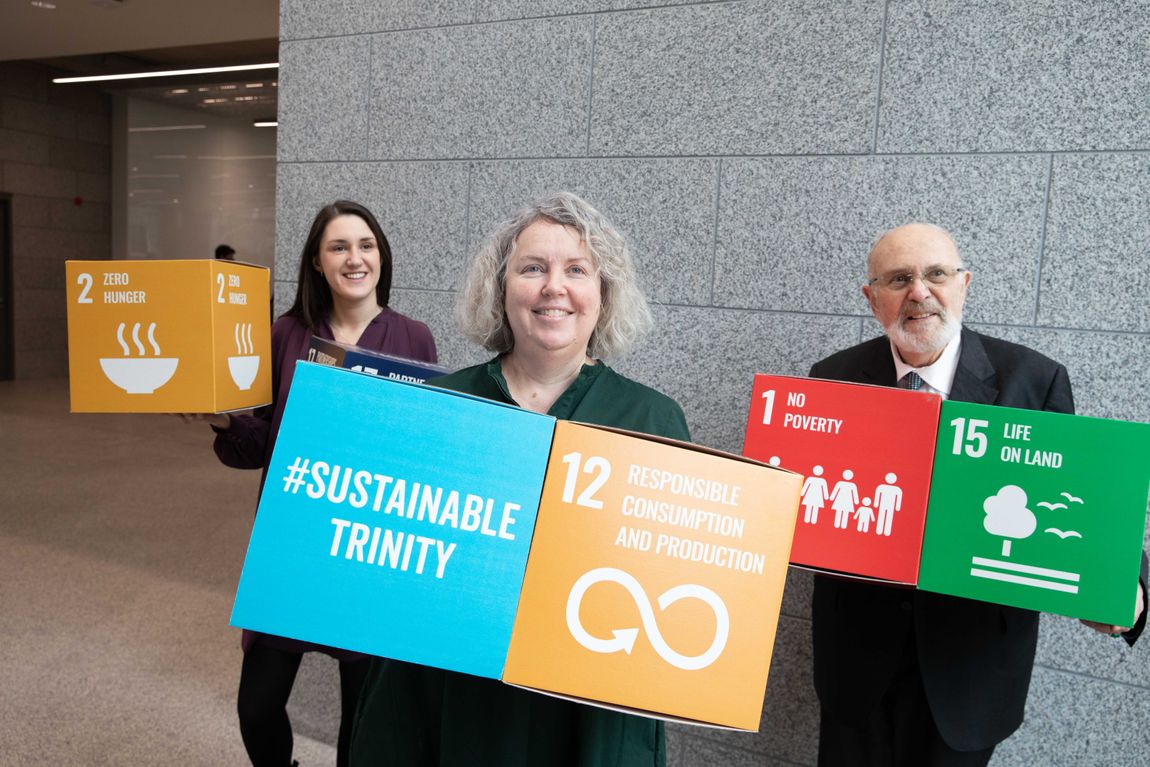 Sustainability - Trinity Global | Trinity College Dublin