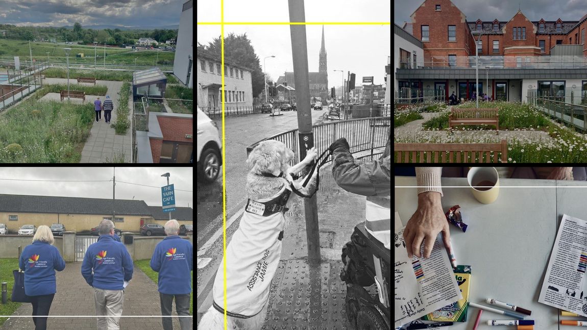 LTRC Planning and Design for Quality of Life and Resilience - TrinityHaus | Trinity College Dublin