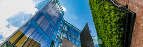 Law and Business Degree - Trinity Business School | Trinity College Dublin