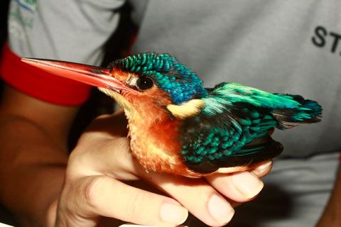 Zoology - Zoology | Trinity College Dublin