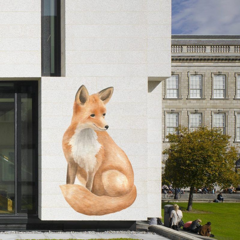 Trinity art installation to honour Sam the fox - News & Events ...