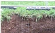 Low Permeability Subsoils - Civil Structural & Environmental ...