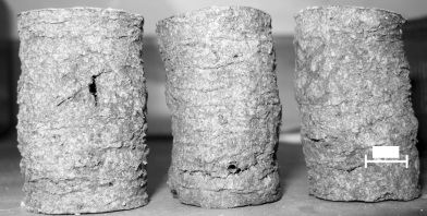 Peat, Soft Ground & Glacial Tills - Civil Structural & Environmental ...