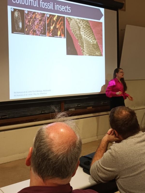 Night at the Museum 2023 - Geology | Trinity College Dublin
