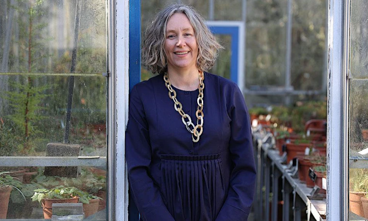 Inaugural Lecture - Professor Jennifer McElwain - News & Events ...