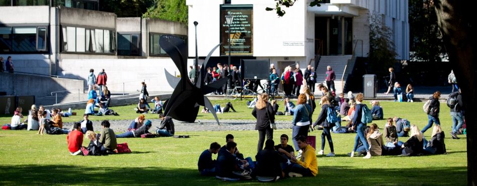 Undergraduate - Civil Structural & Environmental Engineering | Trinity ...