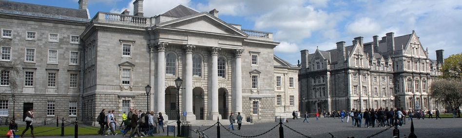 Consent to Disclose and Share Disability Information - Trinity ...