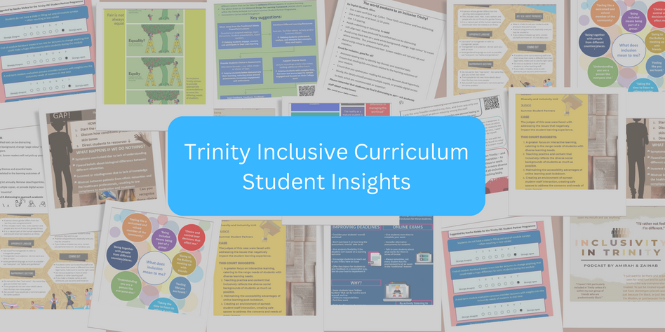Student Insights - Equality, Diversity and Inclusion | Trinity College ...