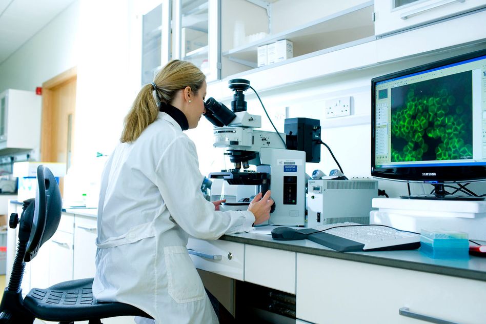 Our Research - Medicine | Trinity College Dublin