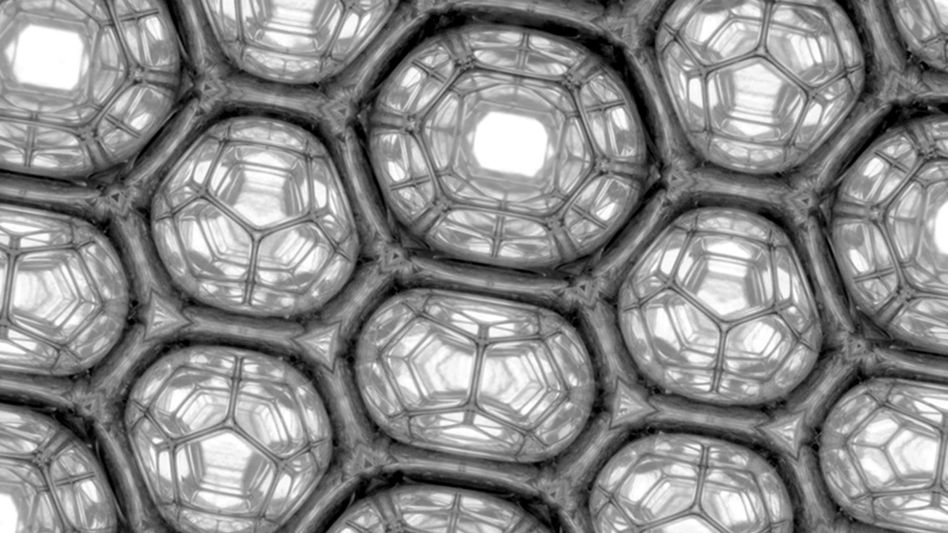 Nanobiophysics & Soft Matter - School of Physics | Trinity College Dublin